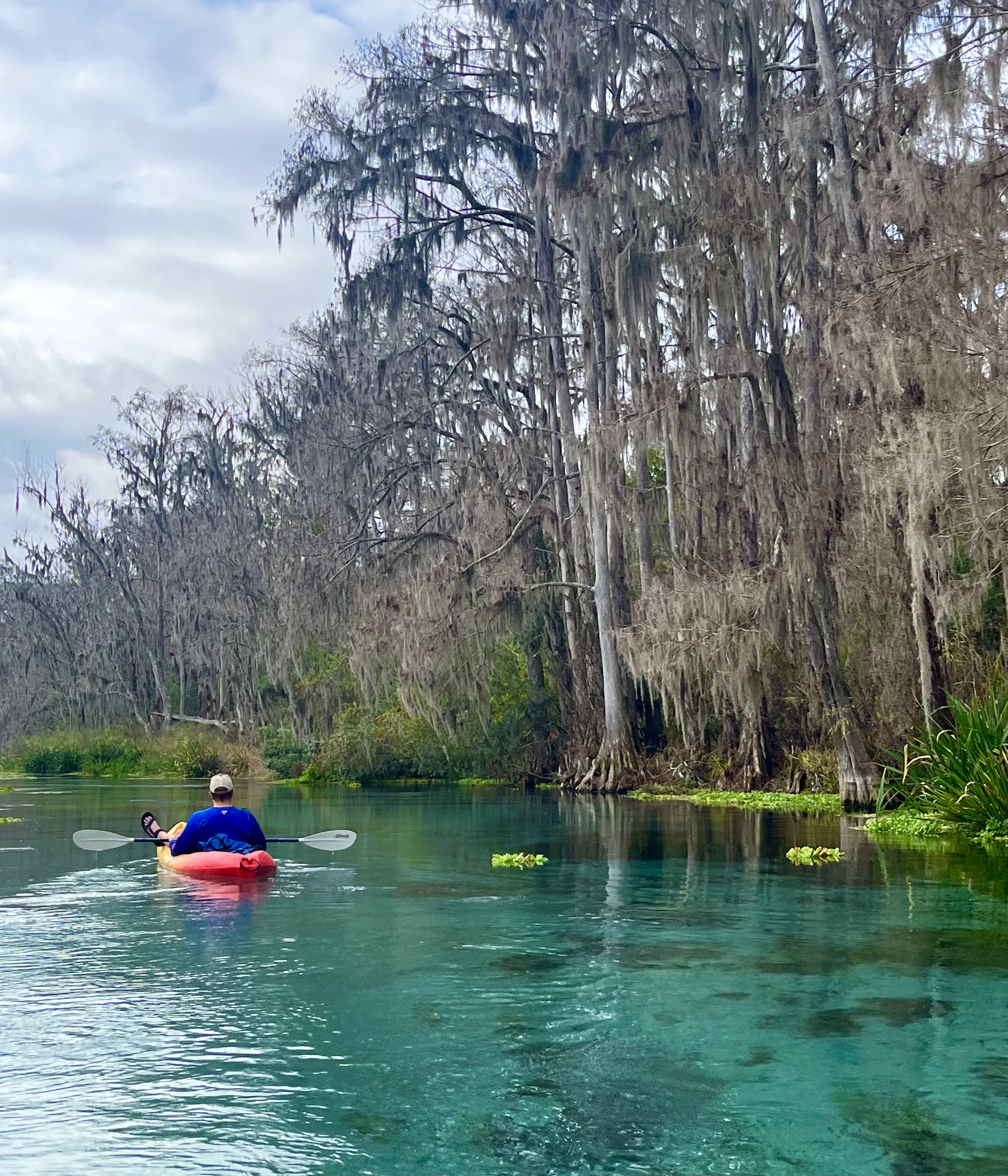 Winter is the Best Time to Enjoy Ichetucknee Springs State Park Near ...